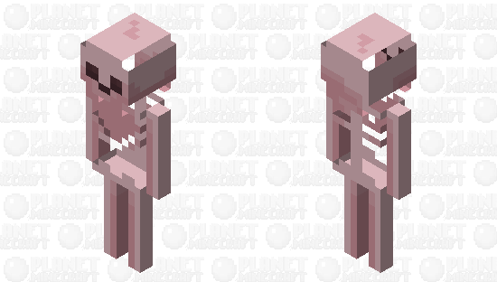Spooky Scary Skeletons Minecraft Mob Skin