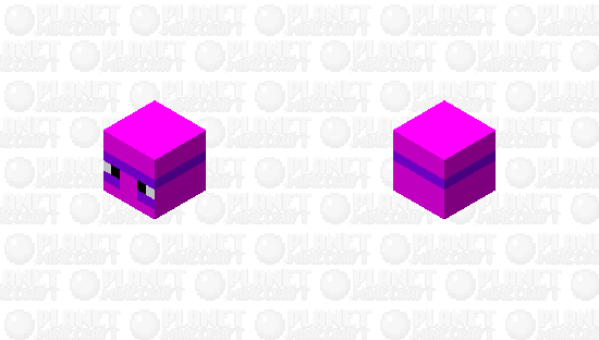 inside a shulker box Minecraft Mob Skin