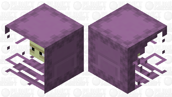 inside a shulker box Minecraft Mob Skin