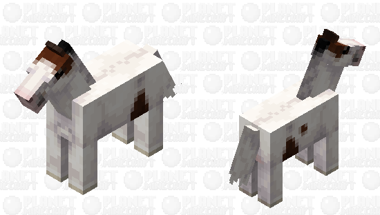 Medicine Hat Horse Pattern Minecraft Mob Skin