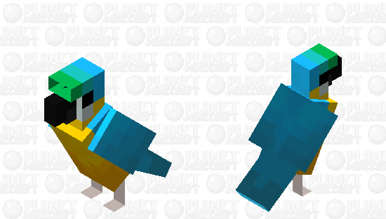 Blue Gold Macaw but better Minecraft Mob Skin