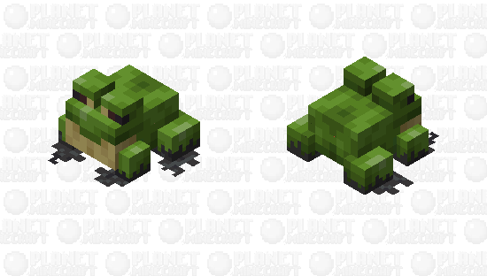 Muddy Frog Minecraft Mob Skin