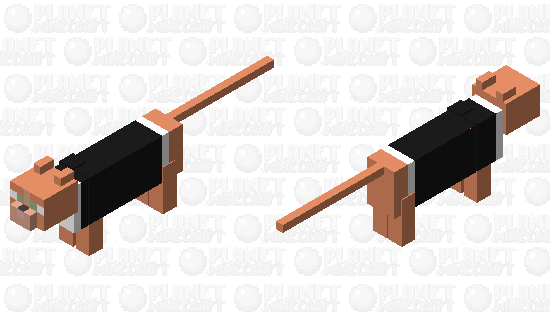 cat in stray Minecraft Mob Skin