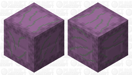 Shucker w/ Scarred Shell Minecraft Mob Skin