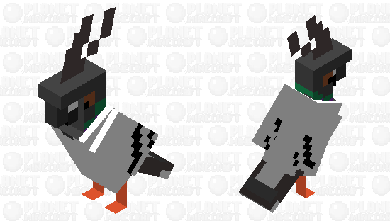 Pigeon Minecraft Mob Skin