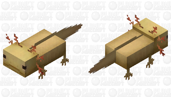 Gold Axolotl Minecraft Mob Skin