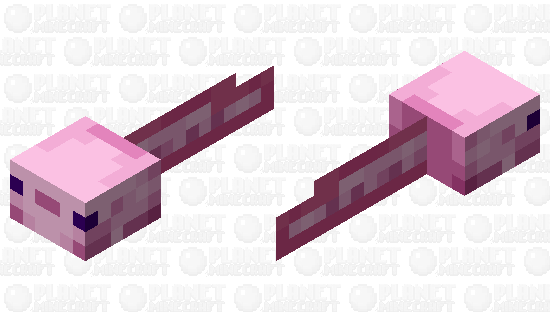 Baby Axolotl Minecraft Mob Skin