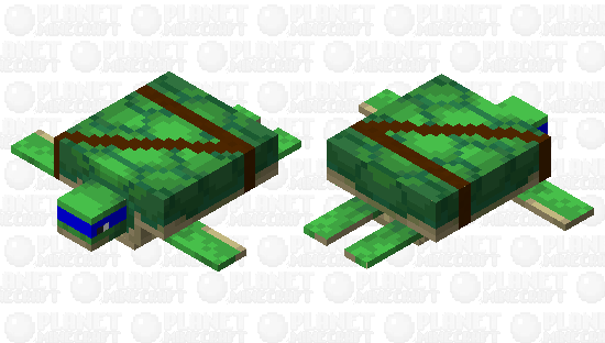 Turtle Minecraft Mob Skin