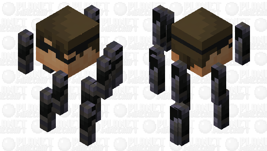 sky does everything Minecraft Mob Skin
