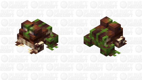 Frog skin variant, Horned frog "Ceratophrys joazeirensis" Minecraft Mob ...
