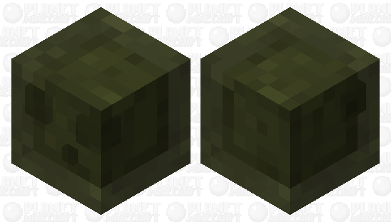 Swamp slime Minecraft Mob Skin
