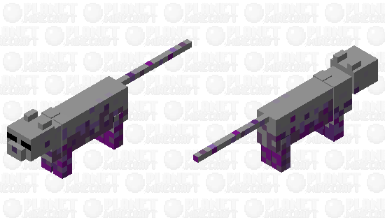 DEMONIC LITTLE GRAY CAT Minecraft Mob Skin