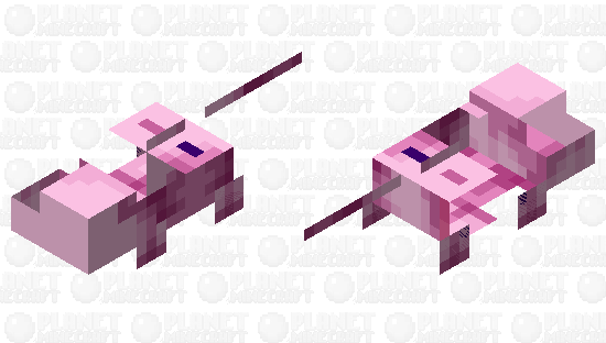Baby axolotl Minecraft Mob Skin