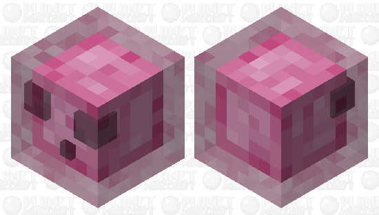 Pink Slime Minecraft Mob Skin