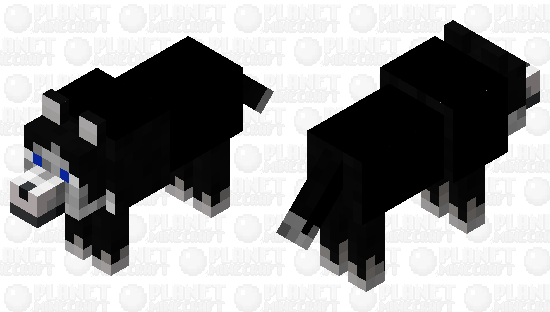 Husky! Minecraft Mob Skin