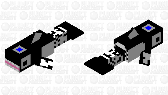 Orca whale dolphin mod Minecraft Mob Skin