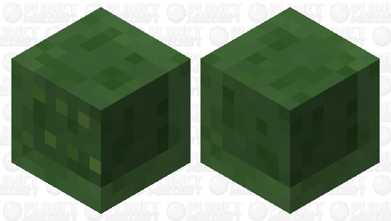 Chompy Minecraft Mob Skin