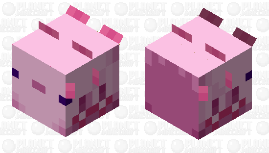 Puffxolotl [Large] - Axolotls. Minecraft Mob Skin