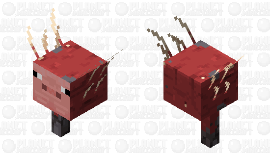 oops wrong face strider Minecraft Mob Skin