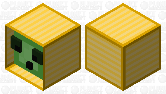 slime in a box Minecraft Mob Skin