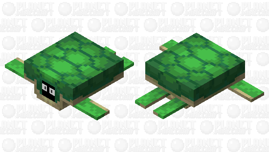 Turtle In Shell Minecraft Mob Skin