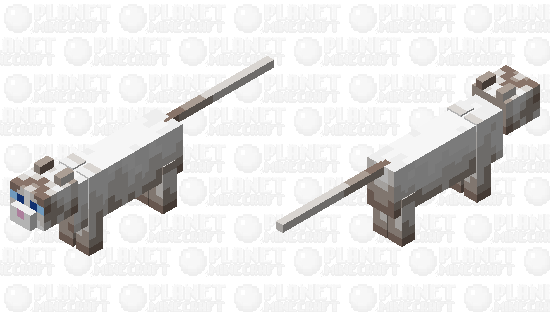 Ragdoll Cat Minecraft Mob Skin