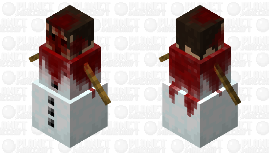 Head on Snowman Minecraft Mob Skin