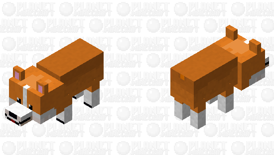 Corgi Dog (fox-bedrock) Minecraft Mob Skin