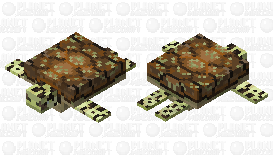 Accurate Green Sea Turtle Edit Minecraft Mob Skin