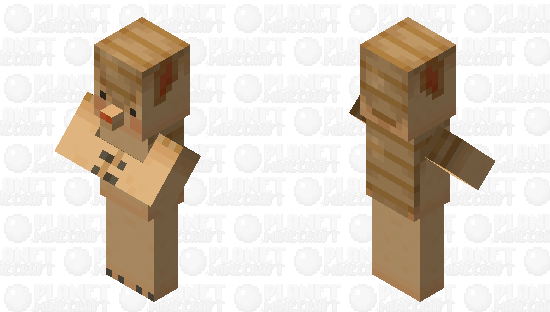 Armadillo Villager Minecraft Mob Skin