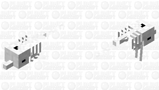 Dolphin skeleton Minecraft Mob Skin