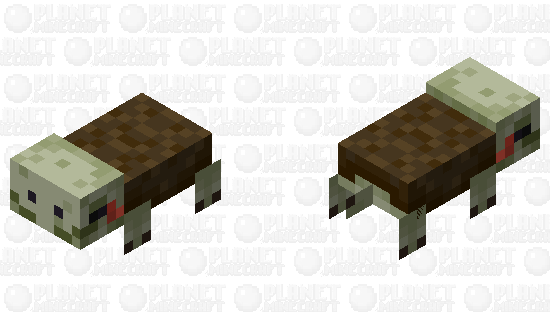 Terrapin Turtle Minecraft Mob Skin