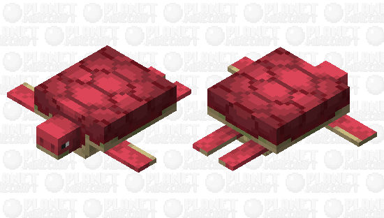 Turtle Minecraft Mob Skin