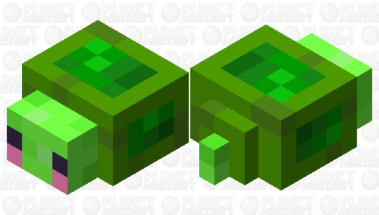 Turtle Minecraft Mob Skin