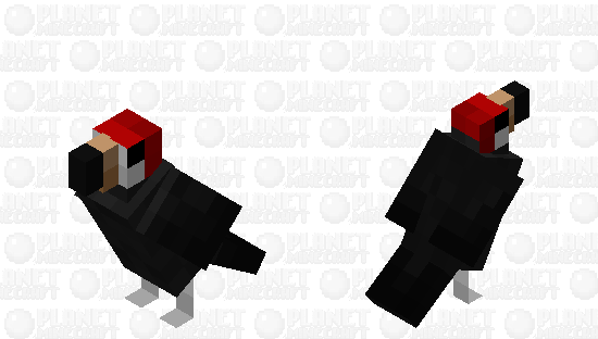 North American Toucan Minecraft Mob Skin