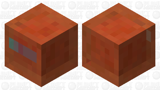 Sus slime Minecraft Mob Skin