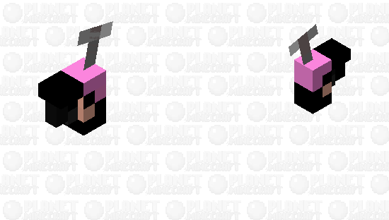 Face raiders Kisser Parrot Minecraft Mob Skin