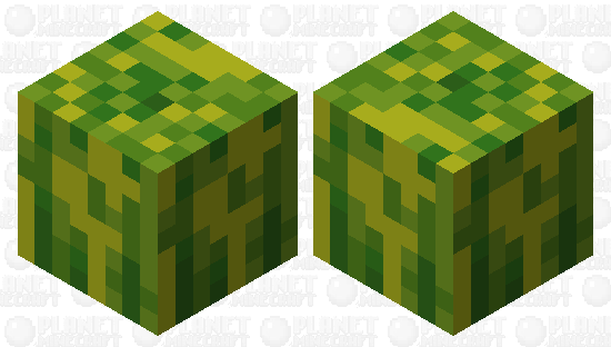 A Slime Except it's a Melon Minecraft Mob Skin
