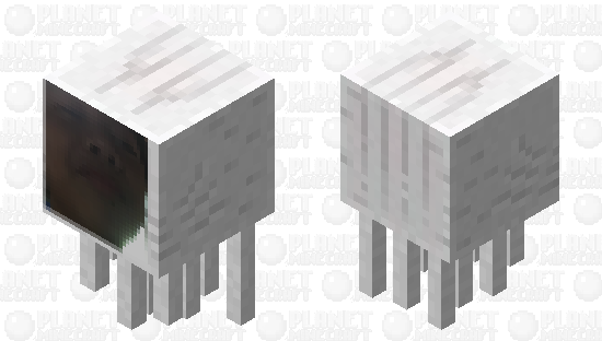 xhast Minecraft Mob Skin