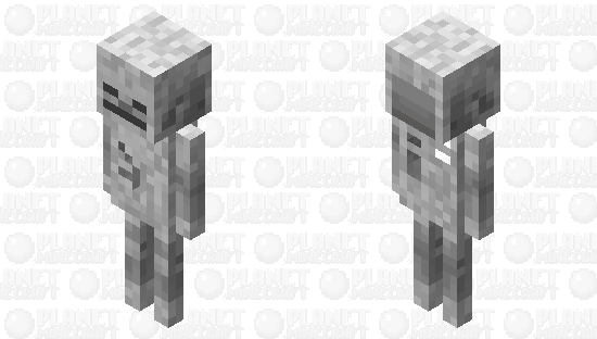 Armored Skeleton Minecraft Mob Skin