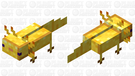 Golden axolotl Minecraft Mob Skin