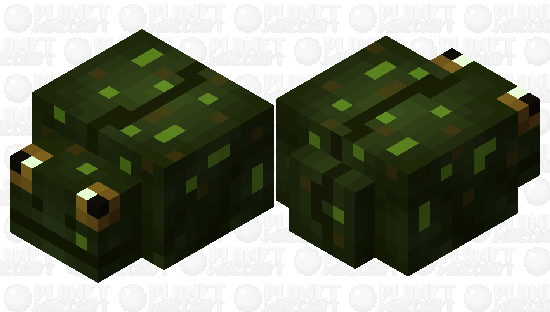 Ender toad Minecraft Mob Skin