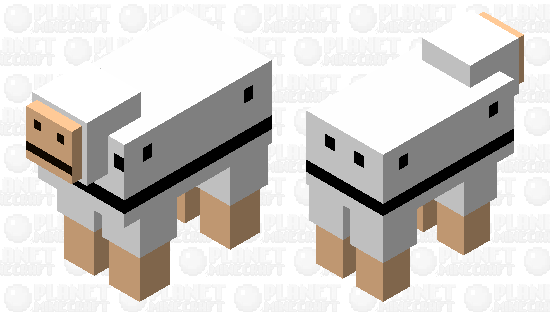 DERP Minecraft Mob Skin