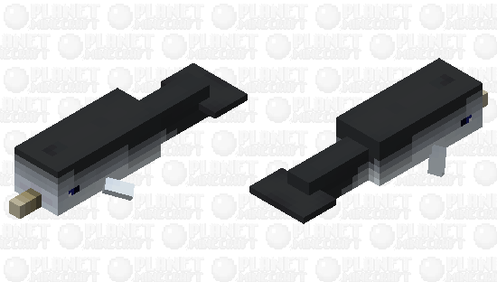 narwhal Minecraft Mob Skin