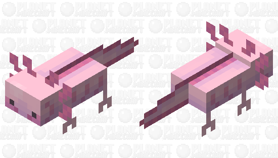Cute Axolotl (Pink) Minecraft Mob Skin