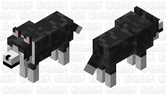 Husky 1 Minecraft Mob Skin