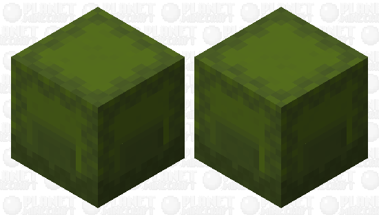 Green shulker Minecraft Mob Skin