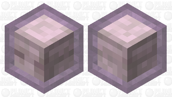 Baby Shulker Minecraft Mob Skin