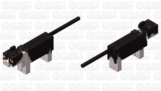 Cake, the Best Cat Minecraft Mob Skin