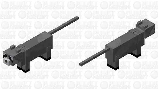 ratcoon Minecraft Mob Skin